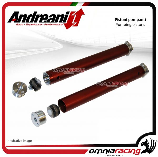 Andreani Compression and Extension Piston Pump Kits and Tube for