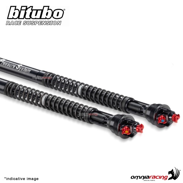 Bitubo Ech2 Adjustable Fork Cartridge for Bmw S1000rr 2019 - Bw051ech29 ...