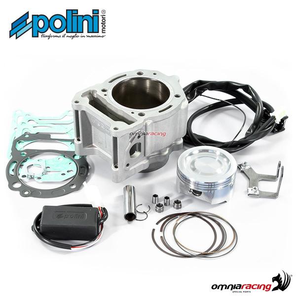 Polini Aluminum Cylinder Kit for Derbi Rambla 300 Ie - 140 0224 0005 ...