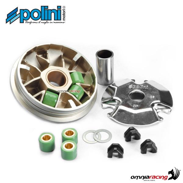 Polini Variator for Aeon Cobra 90 2T Air Cooled - 241 623 0001